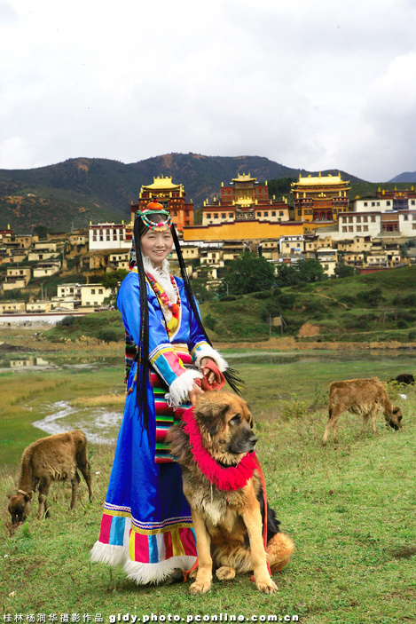 草原姑娘 卓玛拉摄影图片香格里拉风光摄影 杨润华摄影心灵的风景 太平洋电脑网摄影部落
